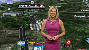 Ashlee Baracy WDIV 4 Detroit - TvNewsCaps